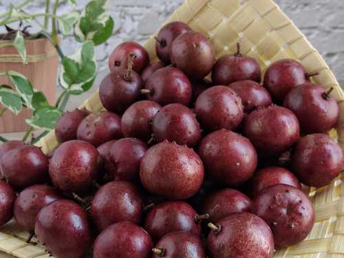 10 Manfaat Buah Rukem Serta Kandungan Gizi dan Vitamin