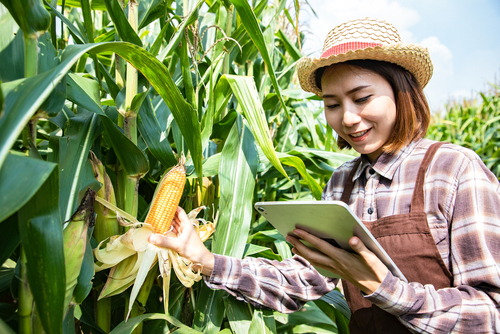 Simak Pengertian Agribisnis dan Contoh-Contoh Agribisnis